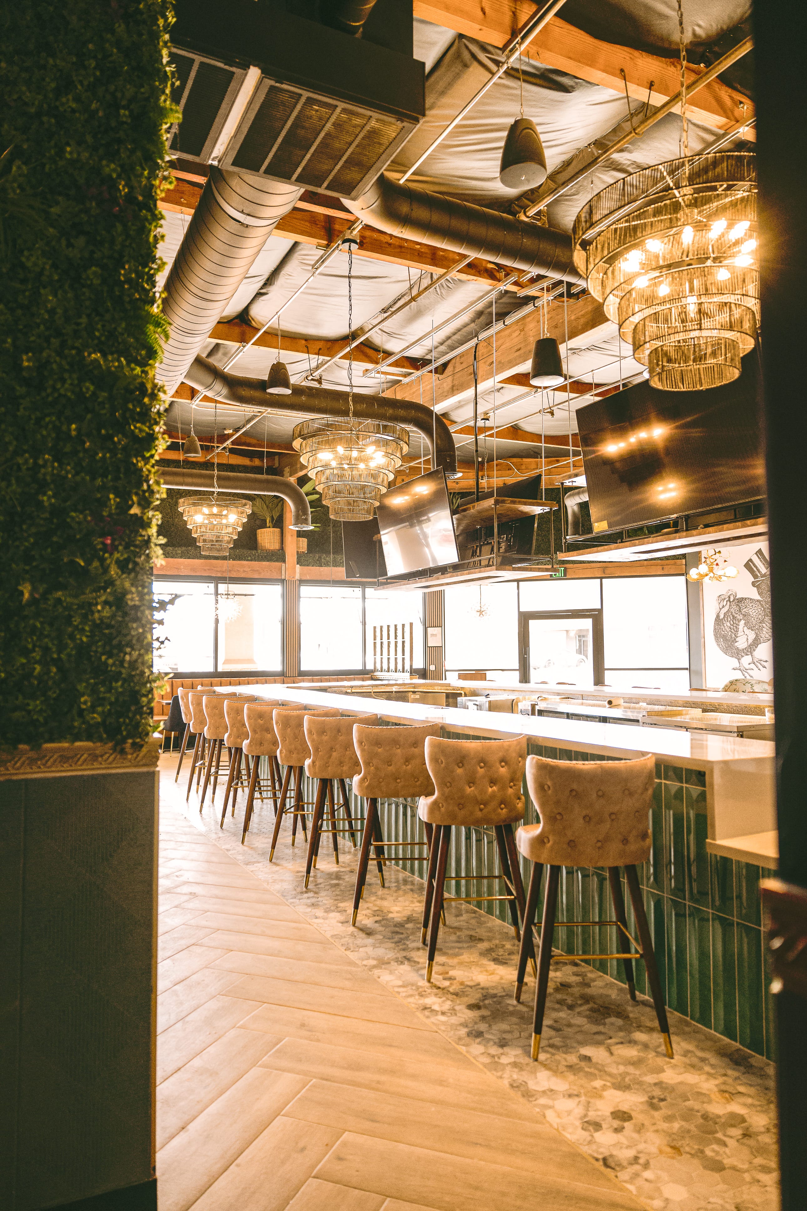 Dodo Bird: Whimsical Dining Adventure in Scottsdale