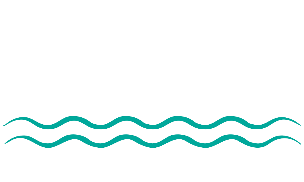 S.A.L.T | Sea and Land Tacos