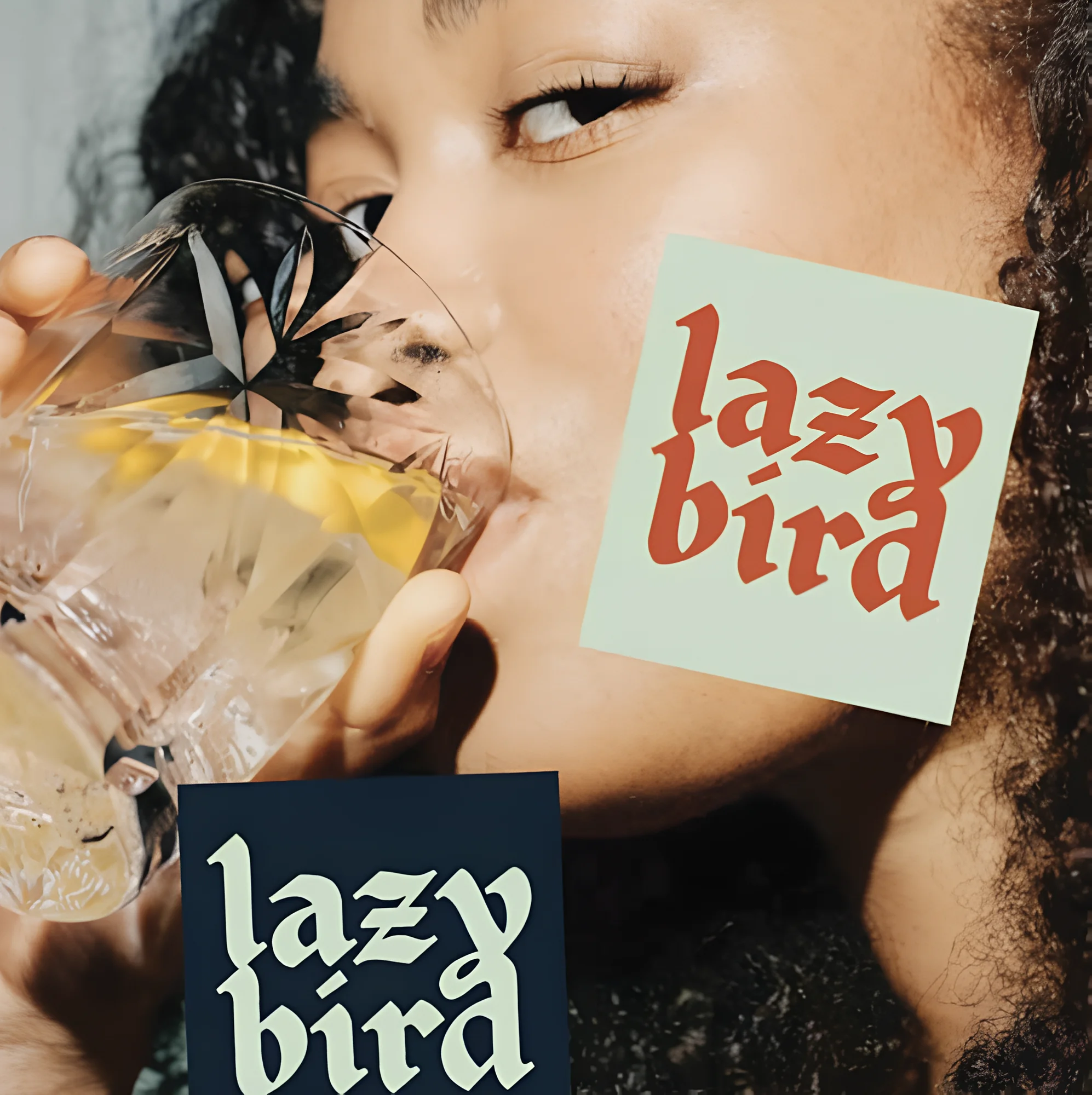 Lazy Bird: Refined Comfort & Edgy Elegance Await You