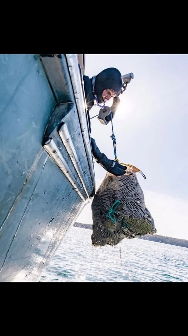 Nelsons Meat + Fish | Arcadia & North Scottsdale