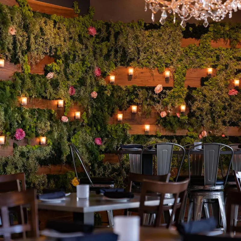 Society Tempe | Late-Night Restaurant + Bar
