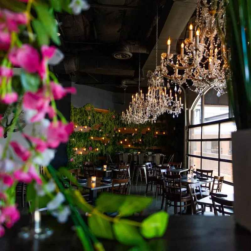 Society Tempe | Late-Night Restaurant + Bar