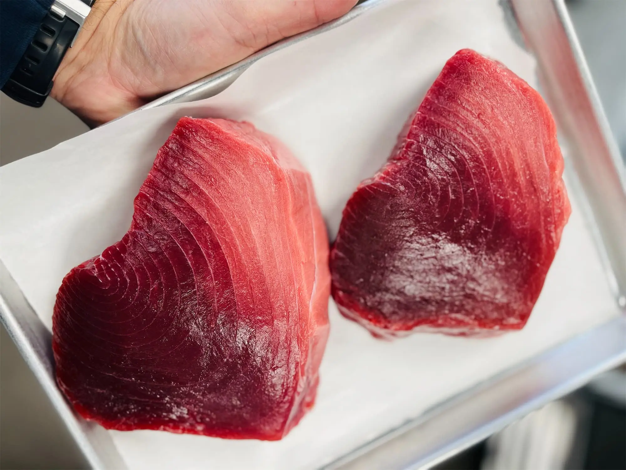 Nelson's Meat + Fish | Arcadia & North Scottsdale